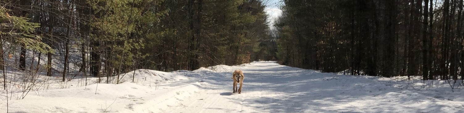 Town of Danbury, New Hampshire